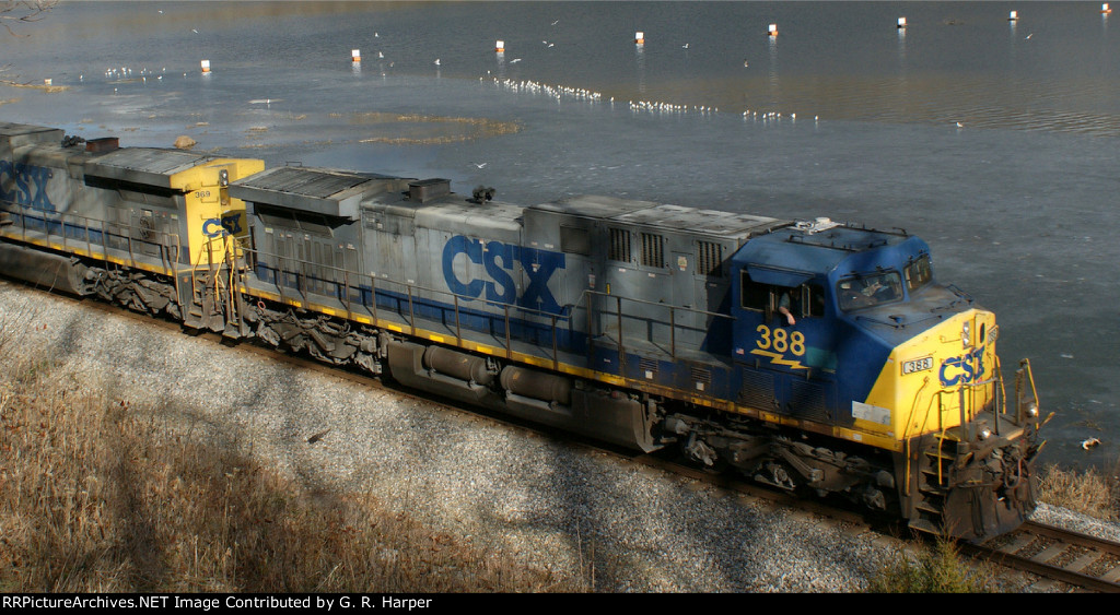 Seagulls and CSX in and along side the James River. T16516.